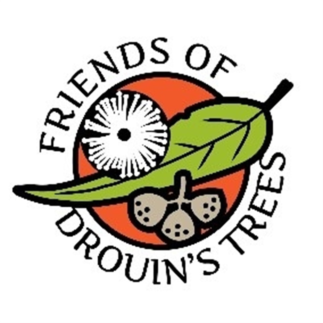 Friends of Drouin's Trees