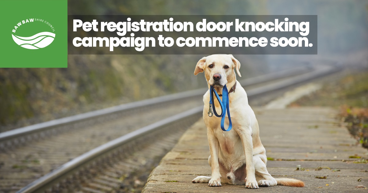 Do You Have To Register Your Dog With Council
