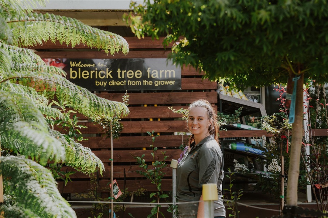 Request Business Support